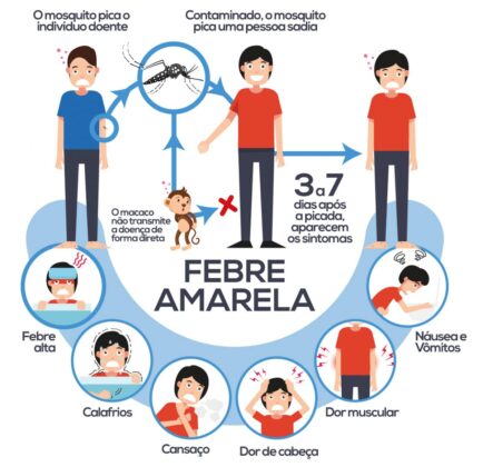 Febre Amarela e Desastres Ambientais: Existe uma Conexão?