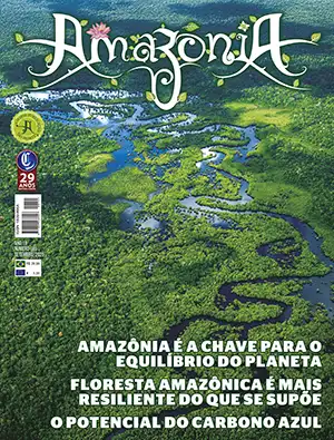 Café da Amazônia: a jornada dos Robustas Amazônicos